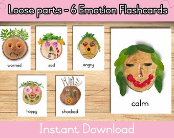 Emotions and Feelings Flash Cards. ASD Emotional Regulation - Etsy ...