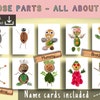 Printable Fry's 100 Sight Word Flashcards Kindergarten-1st Grade Sight ...