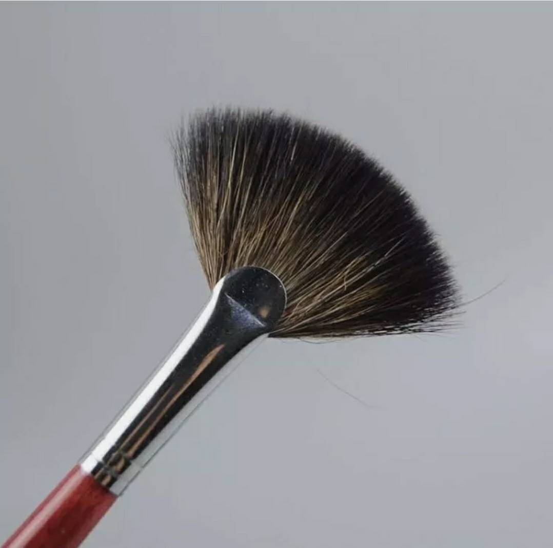 6/9pc Fan Artist Paint Brush Set for Watercolor Acrylic Extra Long ...