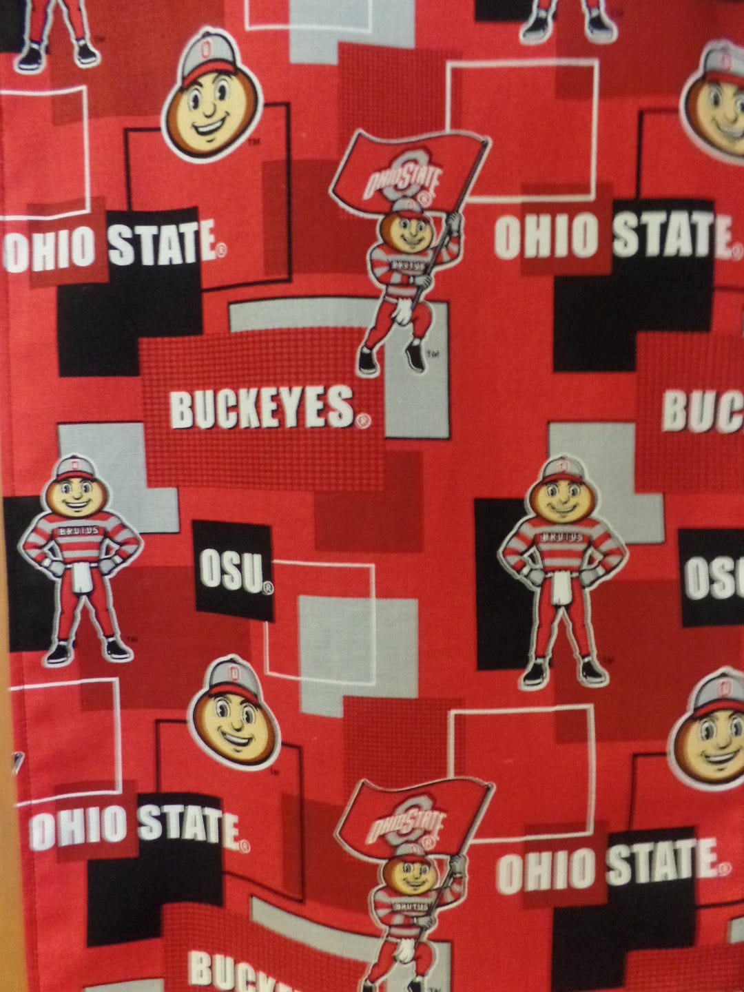 Security Door Curtain, Classroom/office, OHIO STATE BUCKEYES Football ...