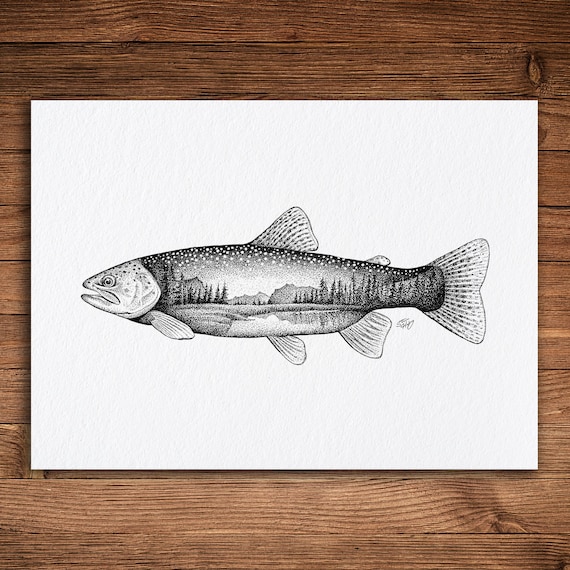 Rainbow Trout Drawing Black And White