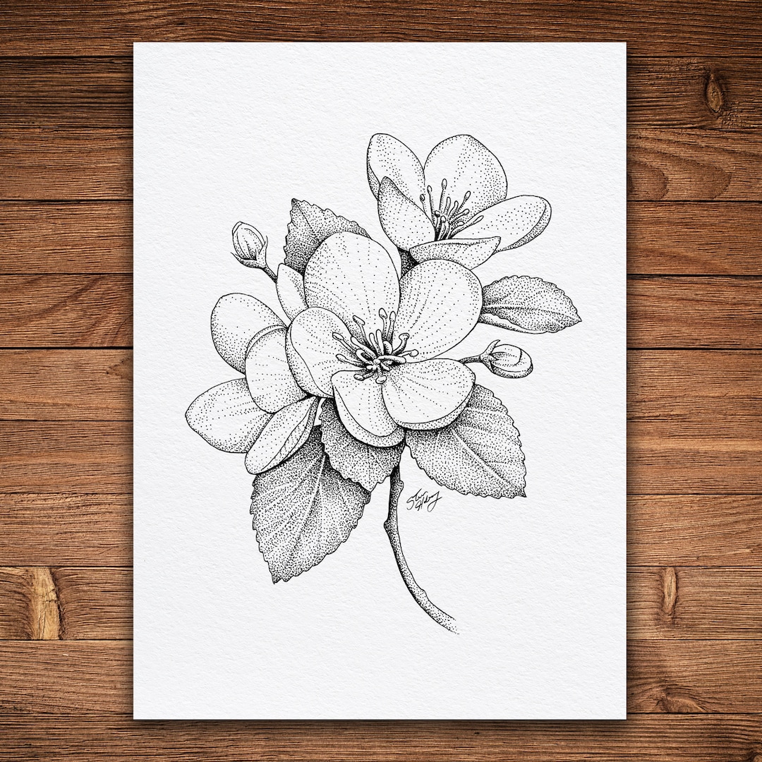 Apple Blossom Flowers, Pen and Ink Print, Floral and Nature Art, Black ...