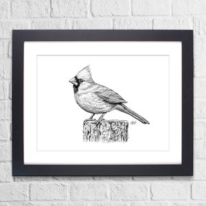 Cardinal, Pen and Ink Print, Whimsical Nature Art, Black and White ...