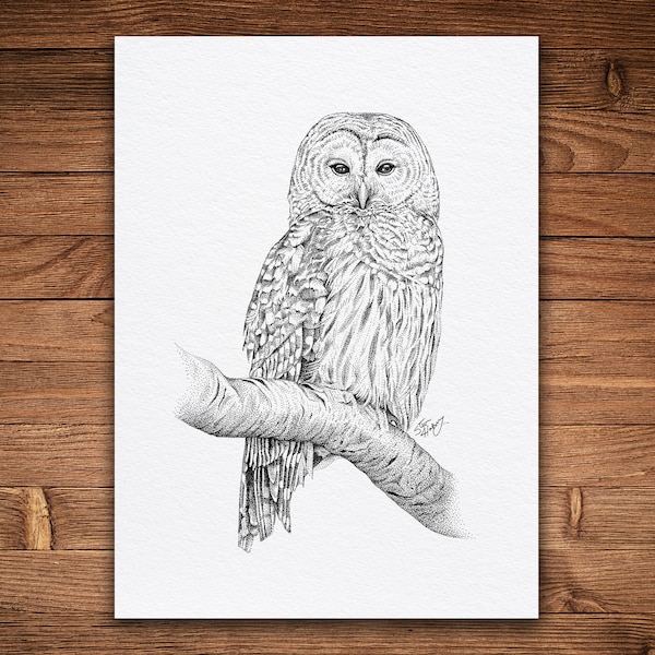 Pen and Ink Bird Art - Etsy