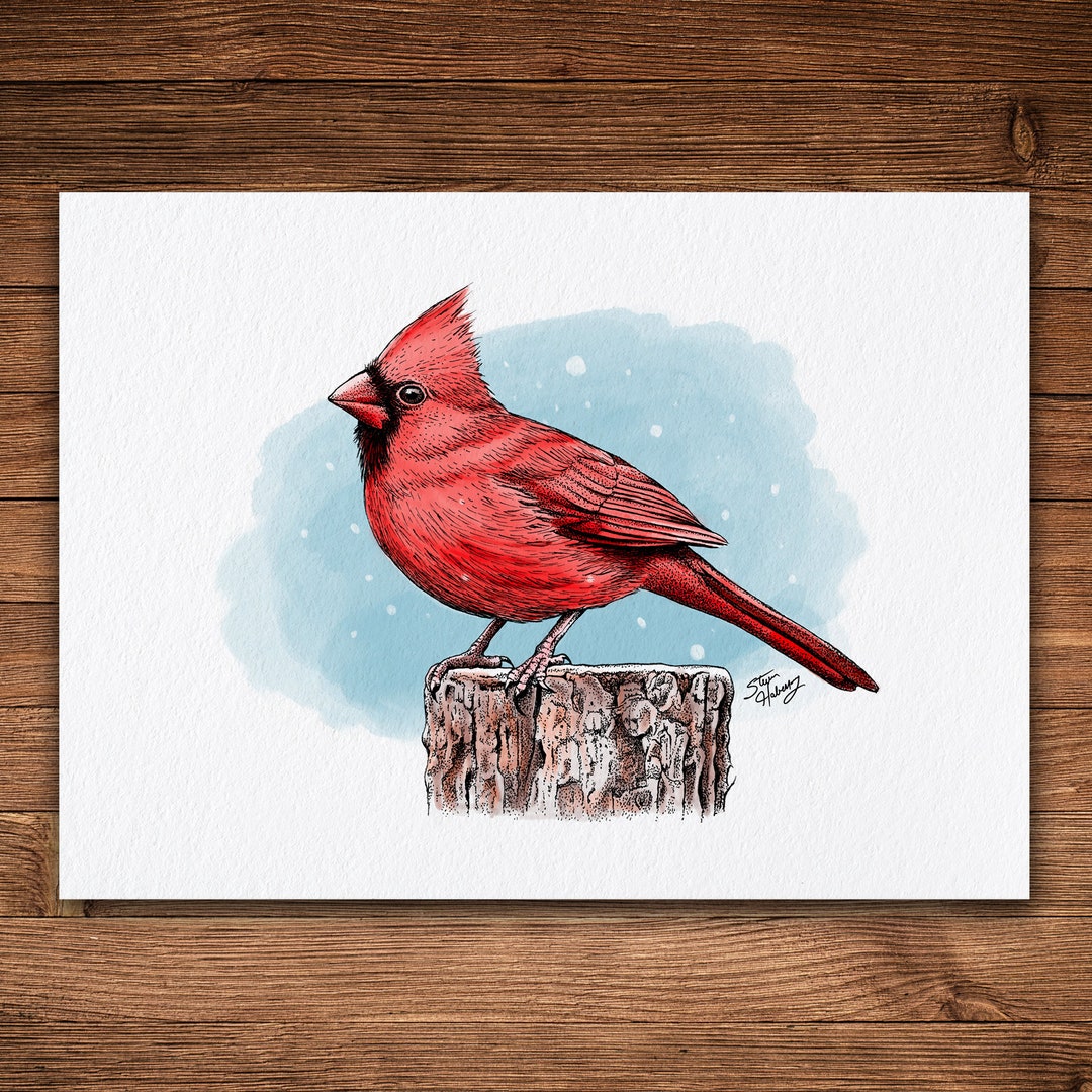 Cardinal, Color Version, Pen and Ink Print, Whimsical Nature Art ...