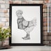 Punk Rock Chicken, Pen and Ink Print, Funny Animal and Nature Art ...