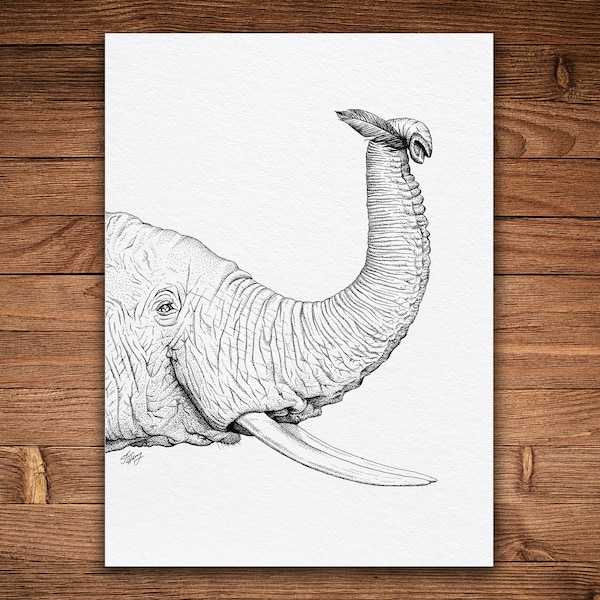Pen and Ink Elephant - Etsy