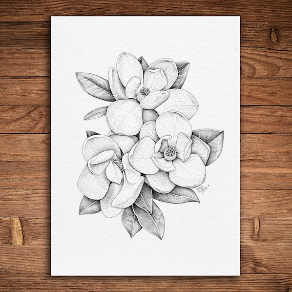 Magnolia Flowers Pen and Ink Print Floral and Nature Art | Etsy