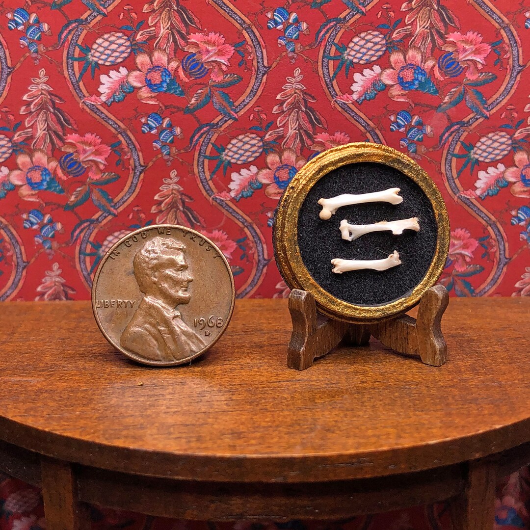Miniature Bone Curiosity Display in 1:12 Scale - Etsy
