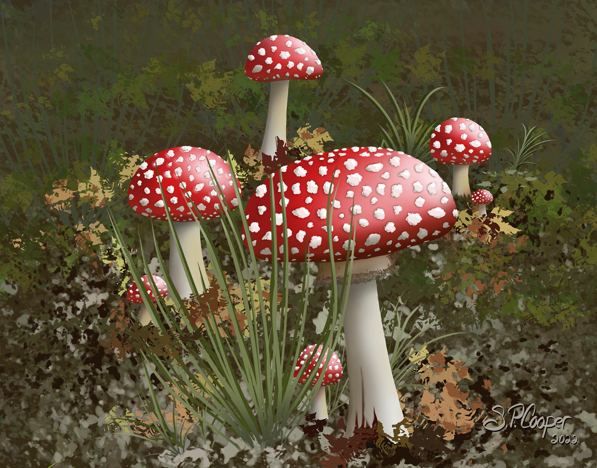 Red Cap Mushrooms - Etsy