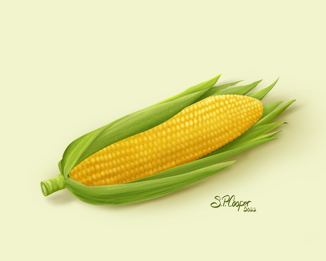Corn on the Cob - Etsy