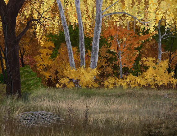 Sedona Arizona at West Fork Oak Creek - Etsy