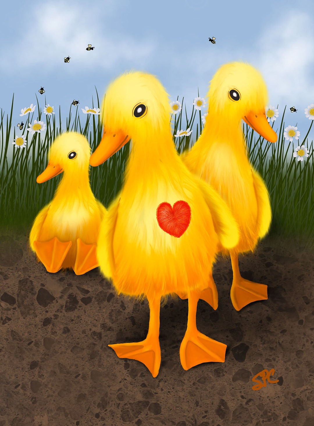 Duckling Feather Study - Etsy