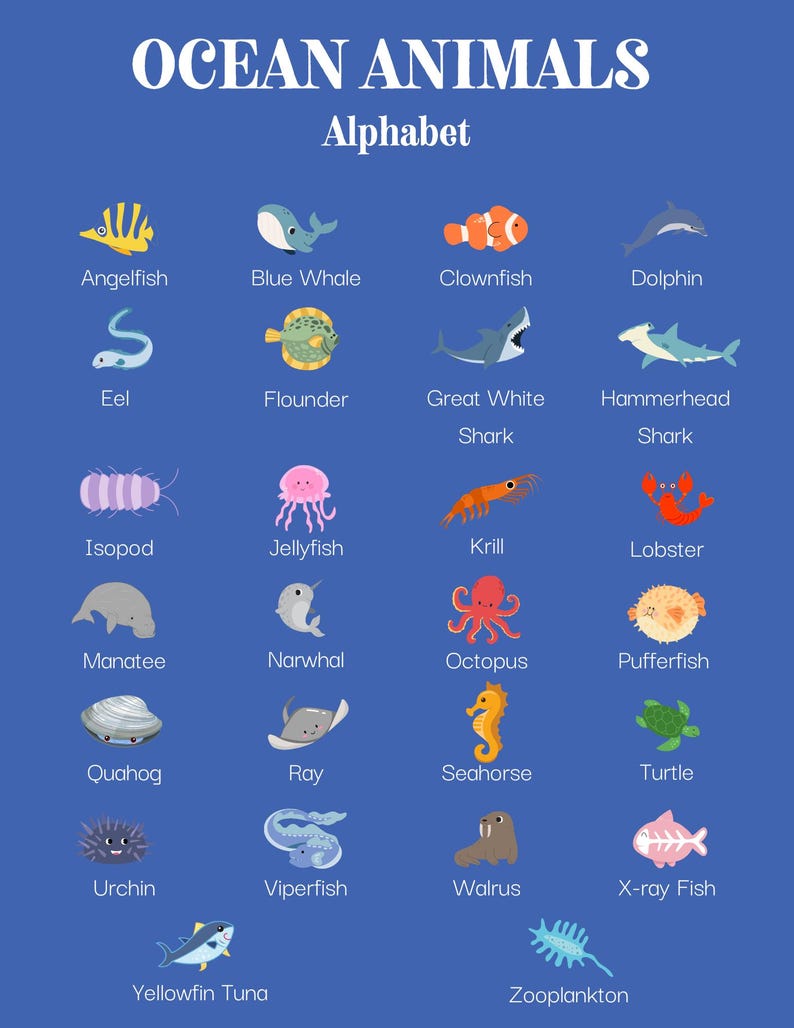 Ocean Animals Alphabet Poster - Etsy