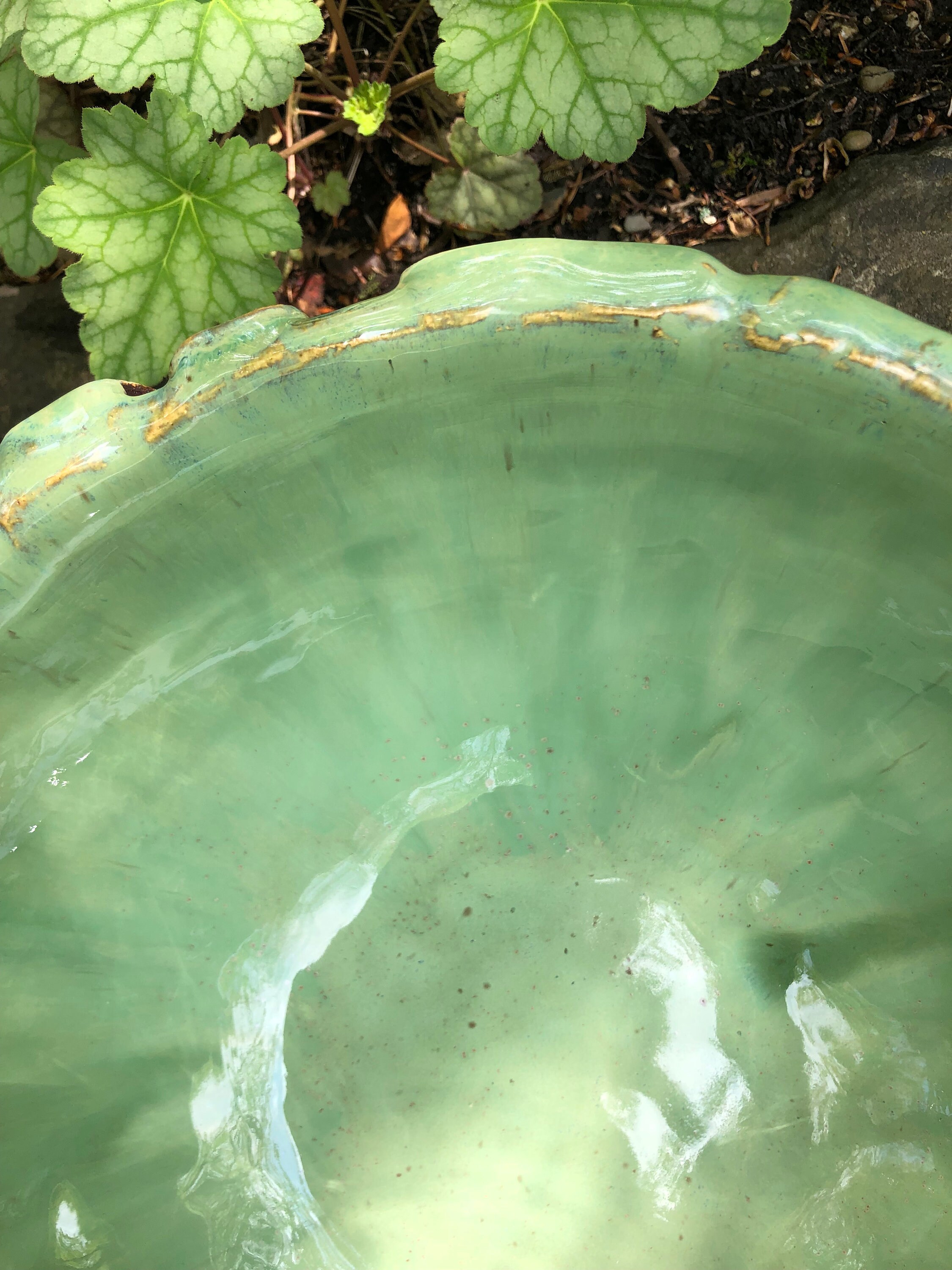 LARGE, Rustic, Cabincore, Handcrafted Ceramic Bowl, Dgrahampottery - Etsy
