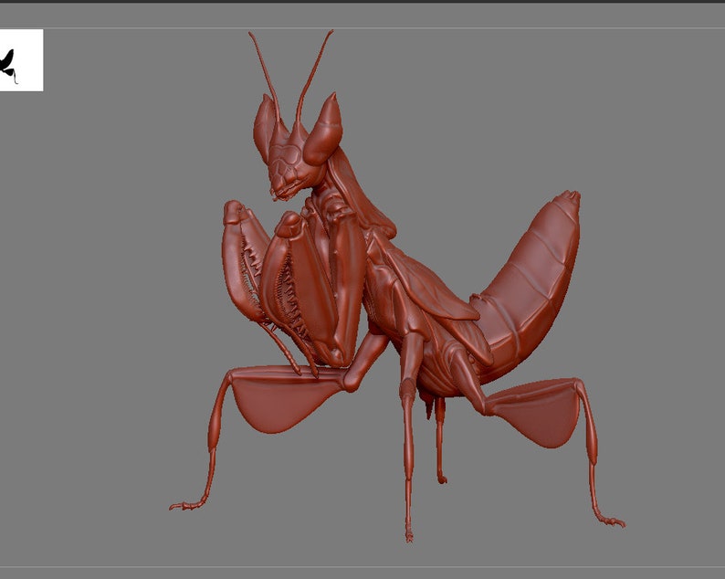 Realistic Orchid Mantis 3D Printed Figurine - Etsy