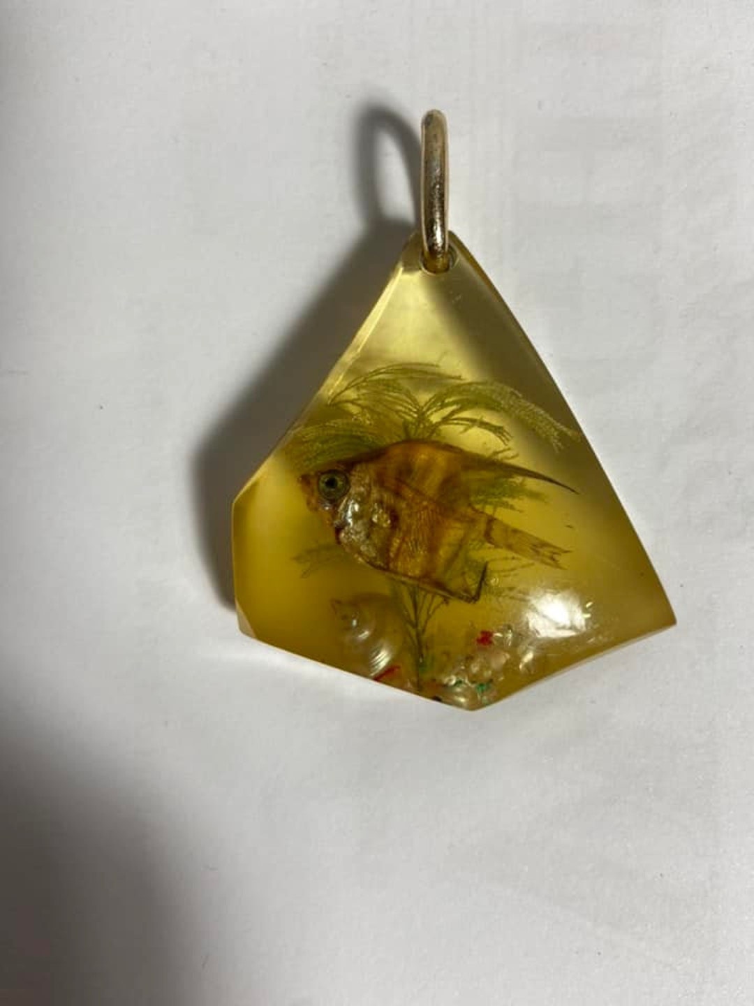 Vintage, Lucite, Fish, Seashells, Shells, Plants, Acrylic, Plastic ...