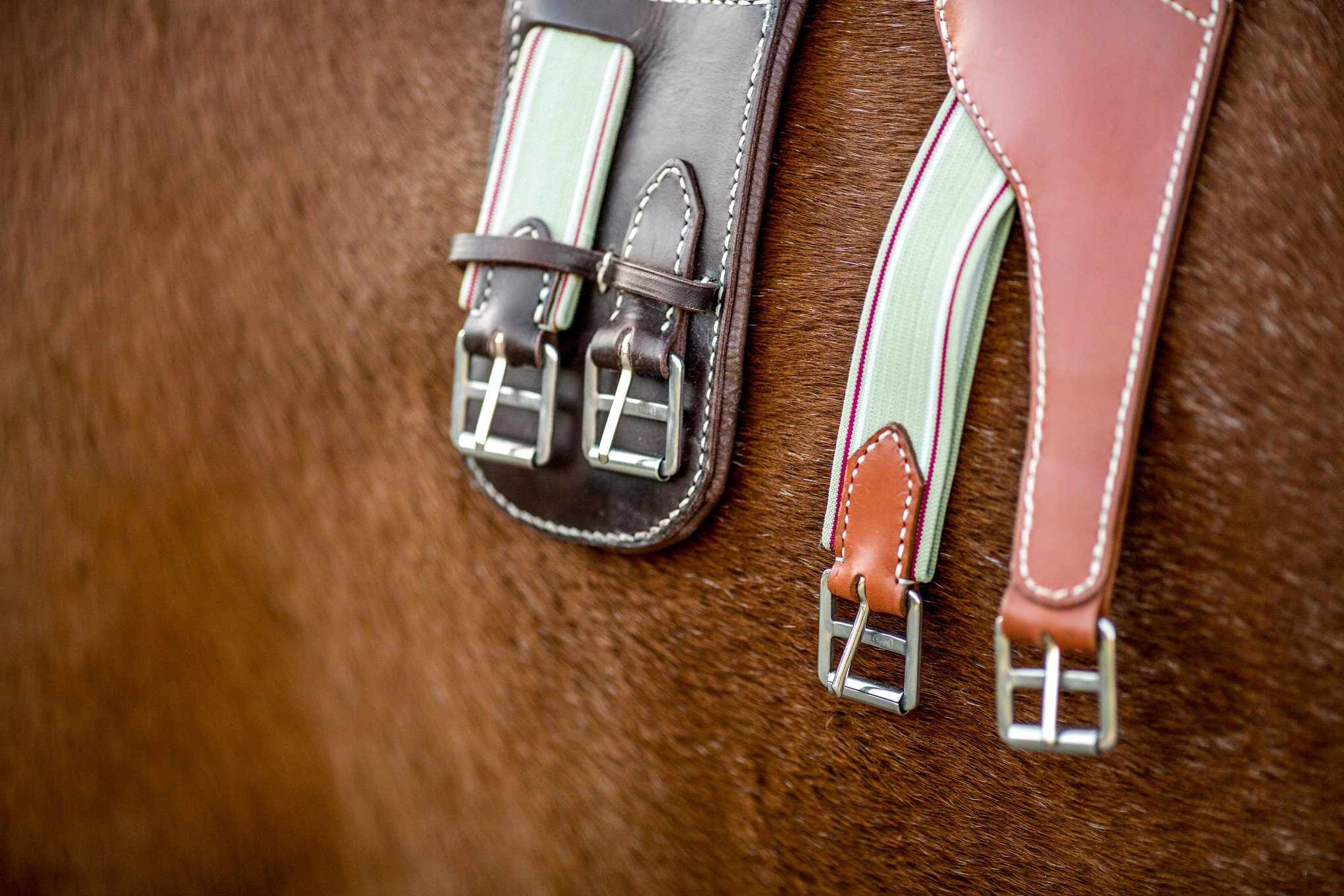 Schnurengurt Entlastungsgurt Baumwolle sattelgurt Kurzgurt Größe und ...