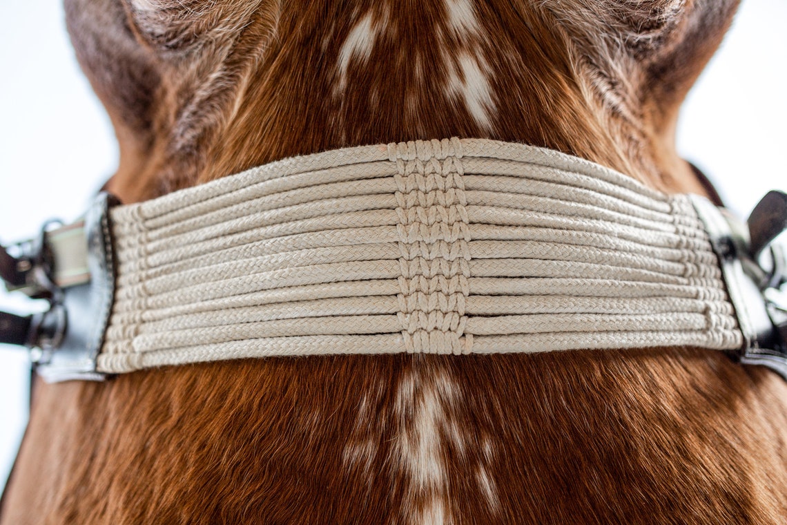 Schnurengurt Entlastungsgurt Baumwolle sattelgurt Kurzgurt Größe und ...