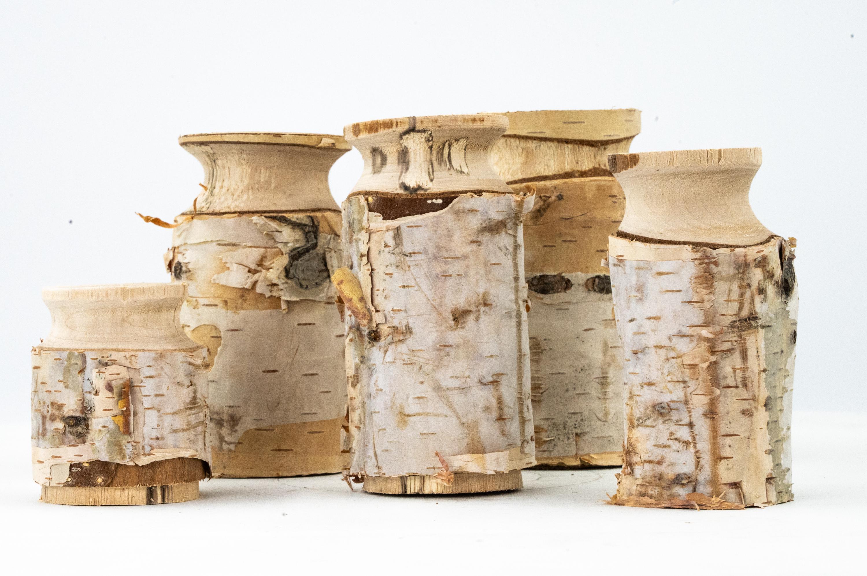 Rustic Birch Vases set of 5 - Etsy