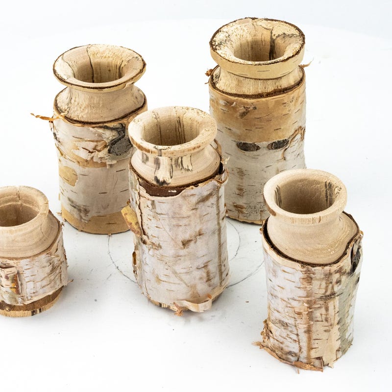 Birch Bark Vase - Etsy