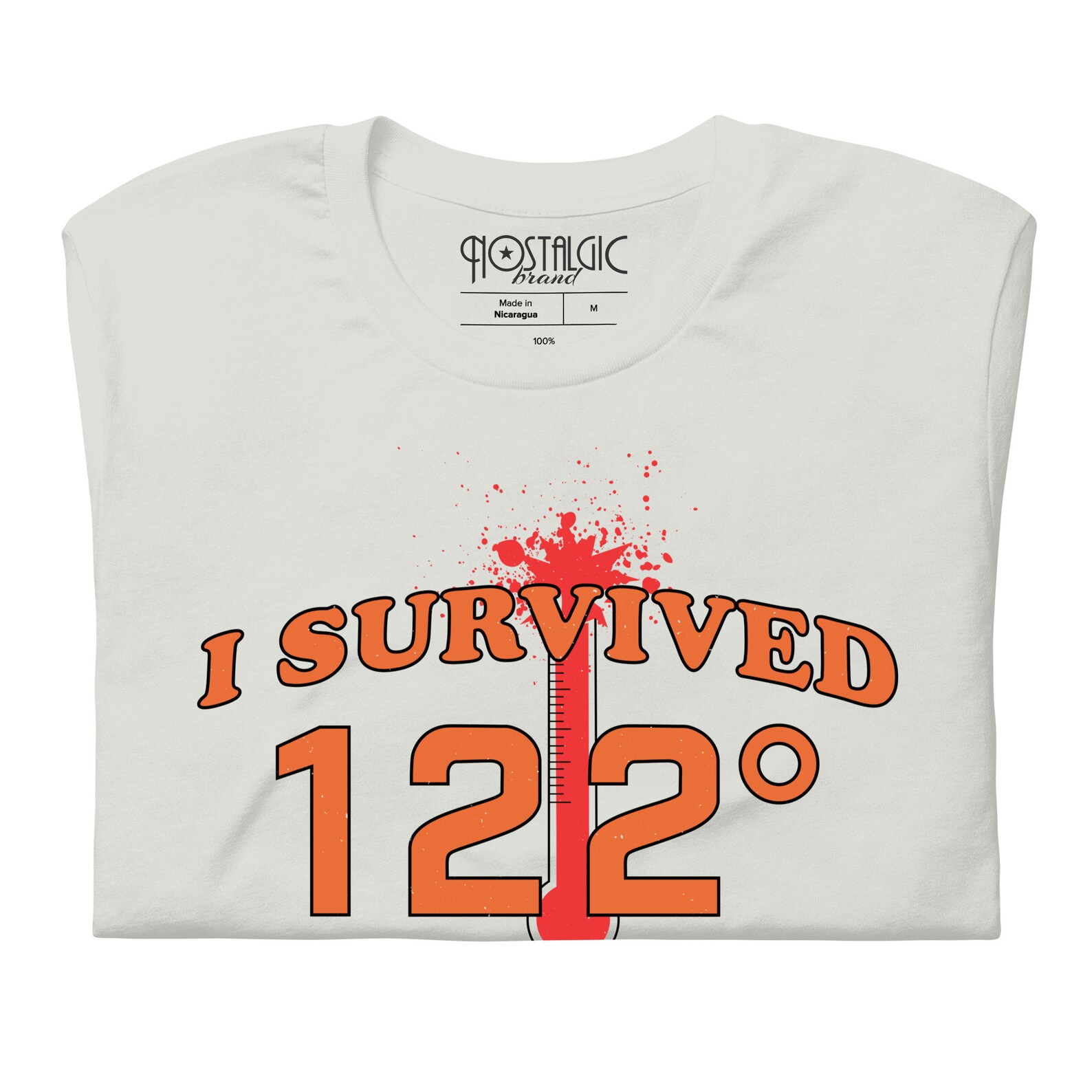 I Survived 122 Degrees in the Arizona Desert - Etsy
