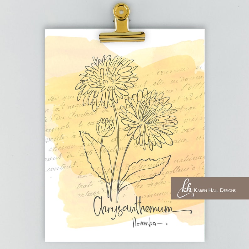 November Birth Flower / Birth Month Flower / Chrysanthemum ...