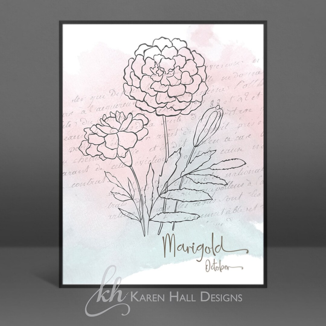 October Birth Flower / Birth Month Flower / Marigold / Marigolds ...
