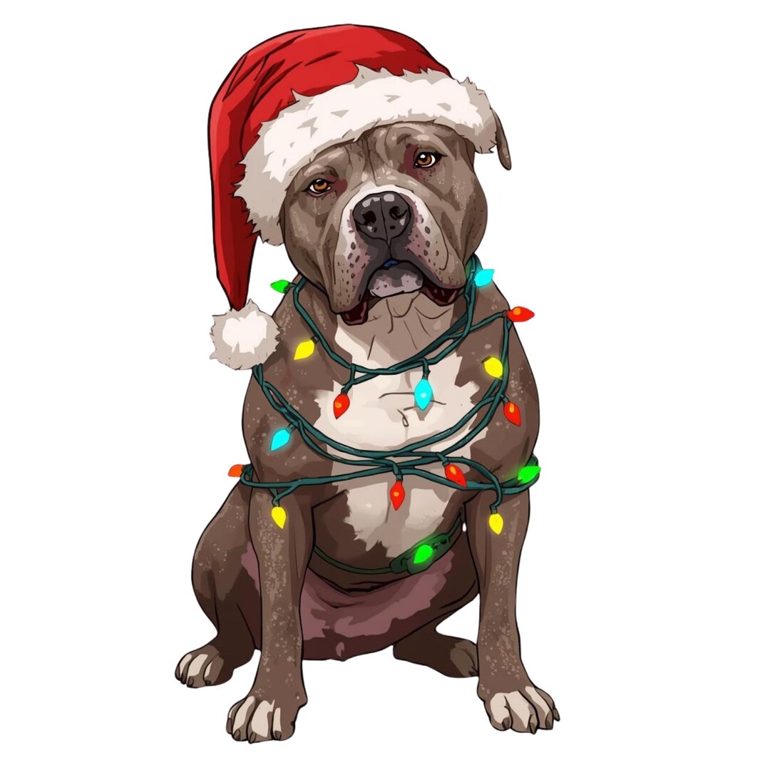 Pitbull Christmas Png, Dog Santa Hat Png - Etsy UK