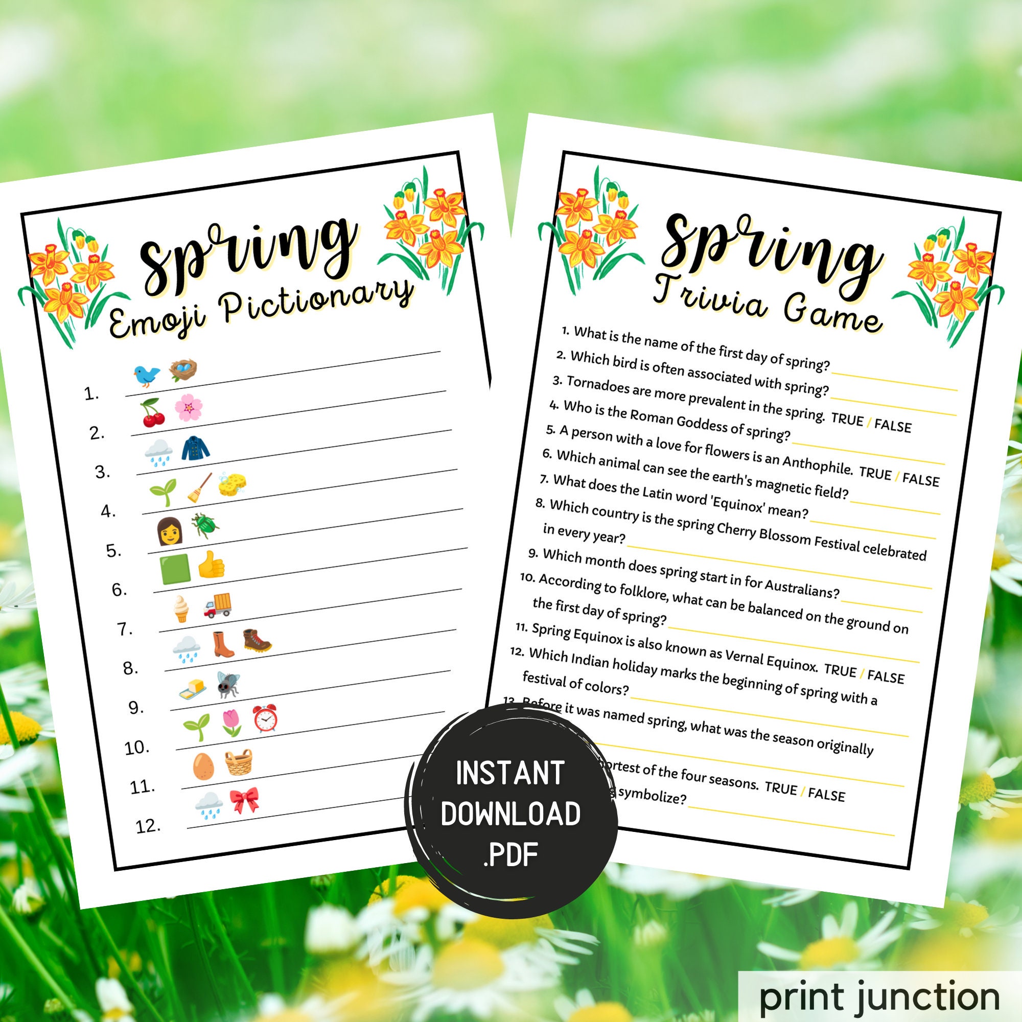 10 Spring Games Bundle Printable Spring Games Springtime - Etsy Canada