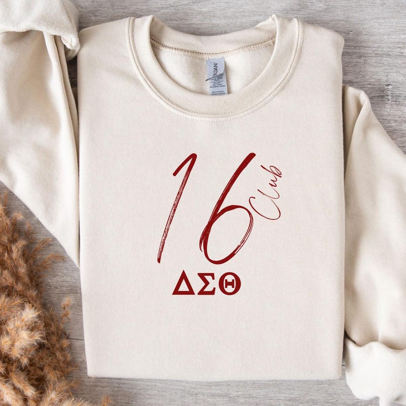 Delta Sigma Theta Sweatshirt - Etsy