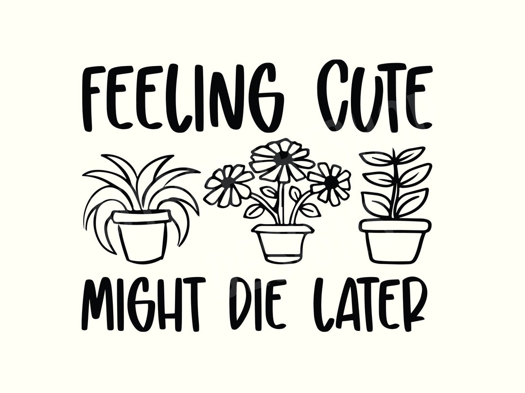 Feeling Cute Might Die Later Png, Funny Plant Svg, Funny Plant Sayings ...