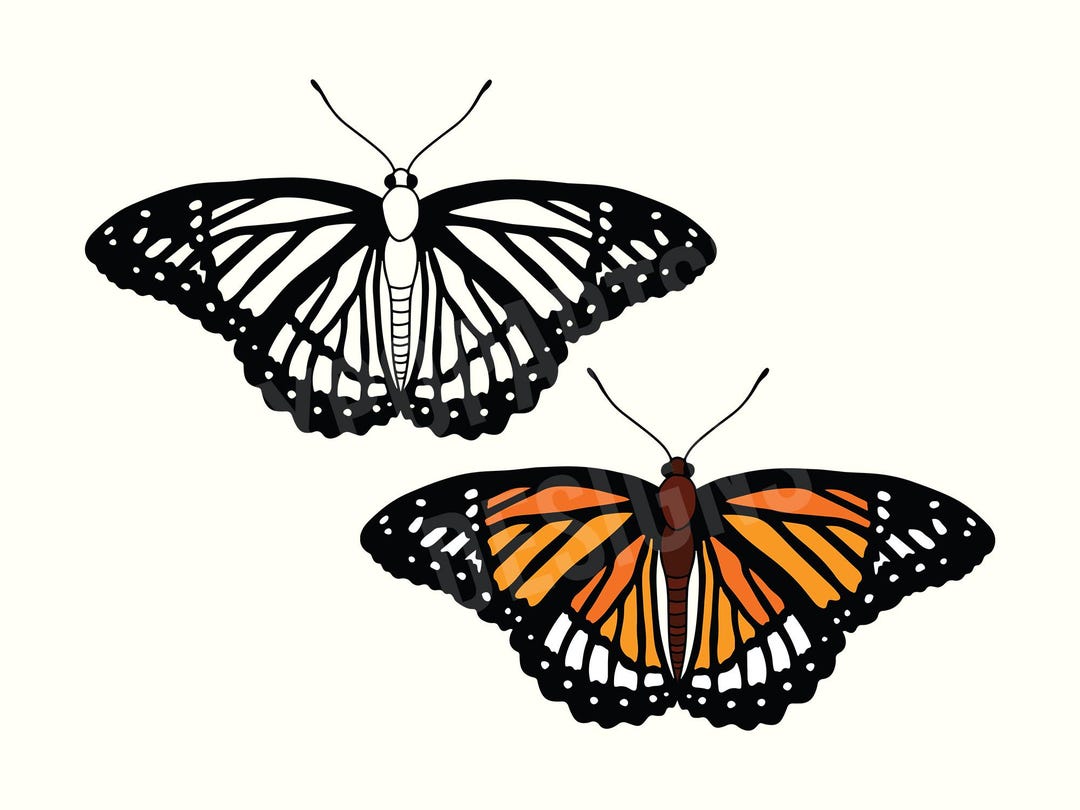 Monarch Butterfly Svg, Butterfly Svg, Butterfly Png, Butterfly Svg ...