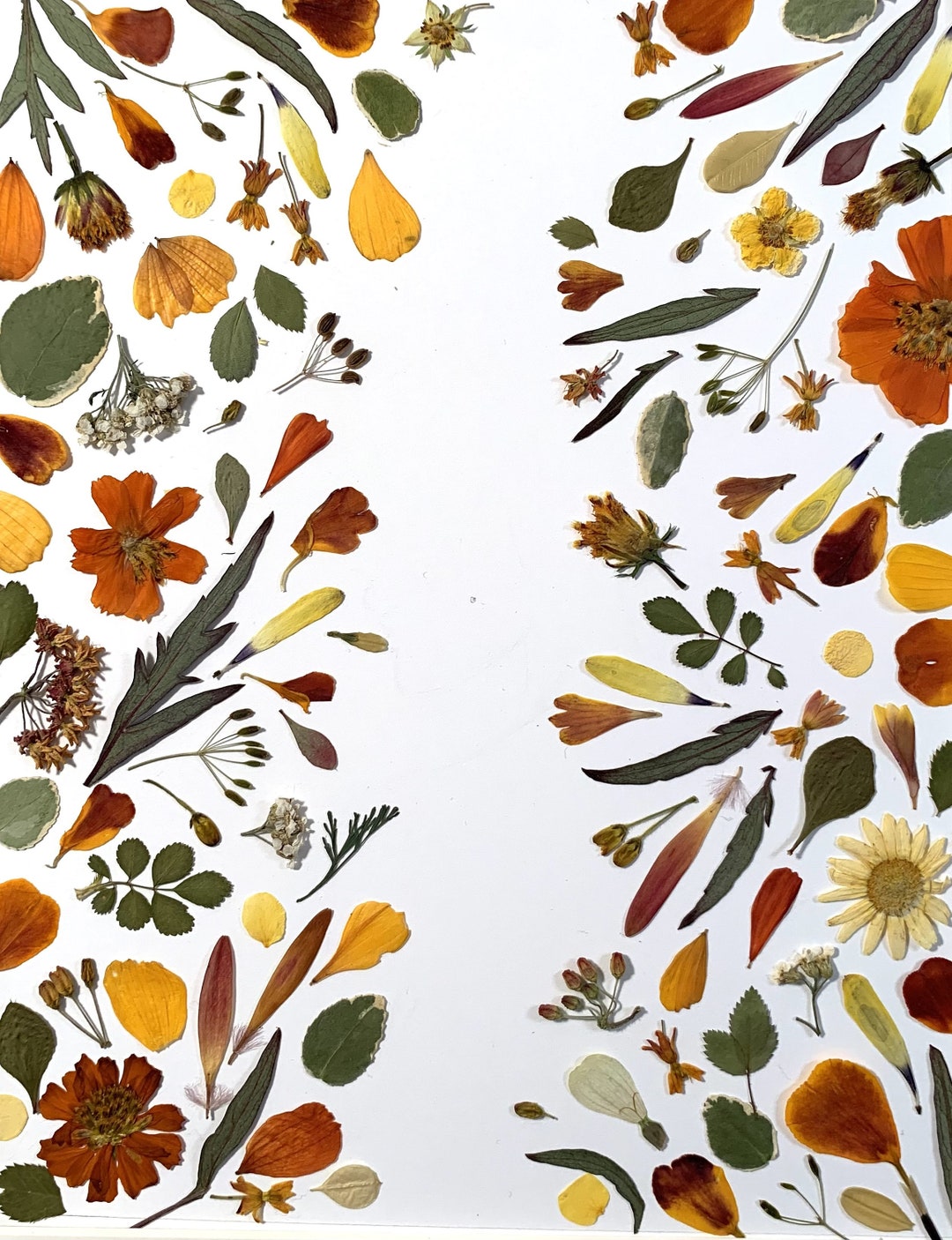 Framed Original Art | Pressed Flower Art | Collage - Etsy