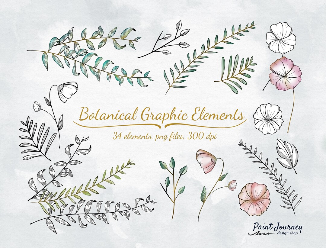 Botanical Illustration, Linework Clipart, Foliage, Modern Ink Leaves ...