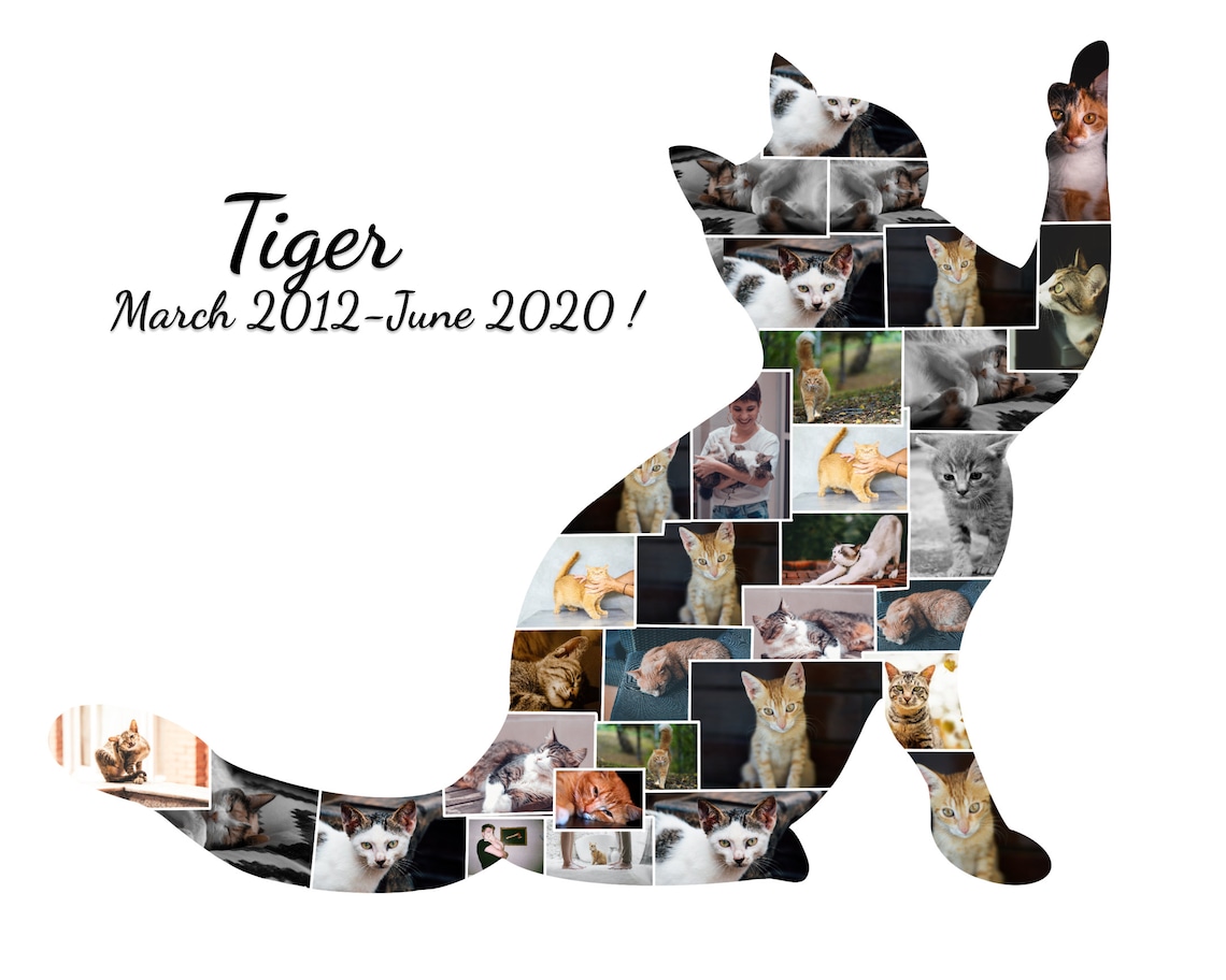 Cat Photo Collage-cat Collage-cat Memorial Collage-photo - Etsy