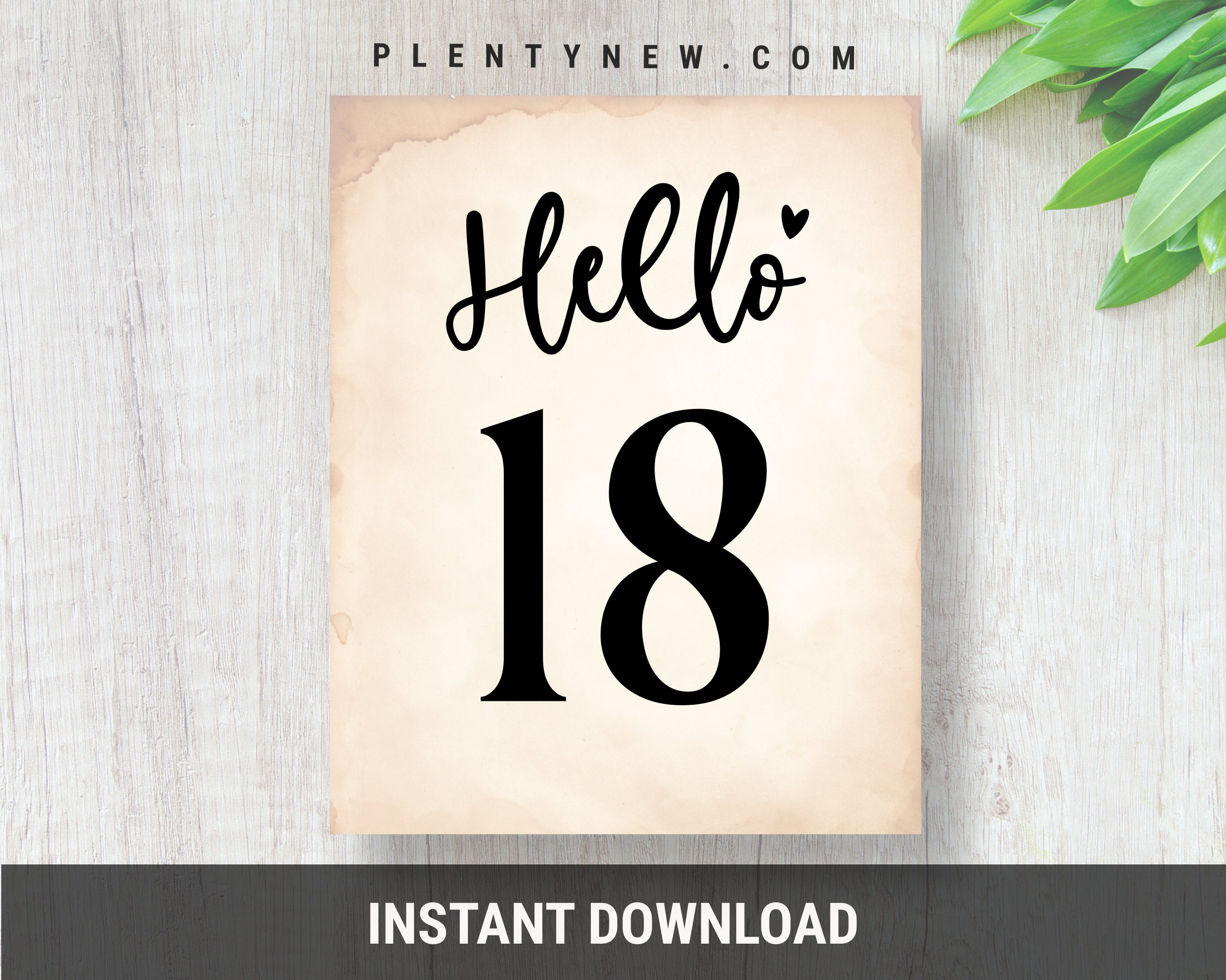 18th Birthday PRINTABLE Signs 18th Birthday Party - Etsy