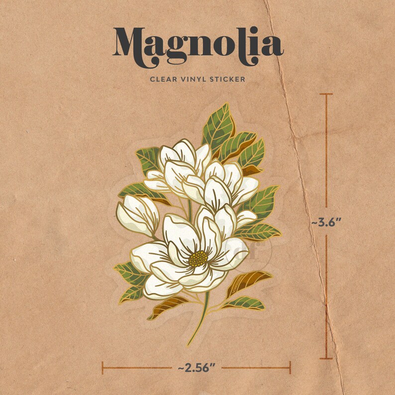 MAGNOLIA gold Clear Vinyl Sticker Magnolia Sticker - Etsy