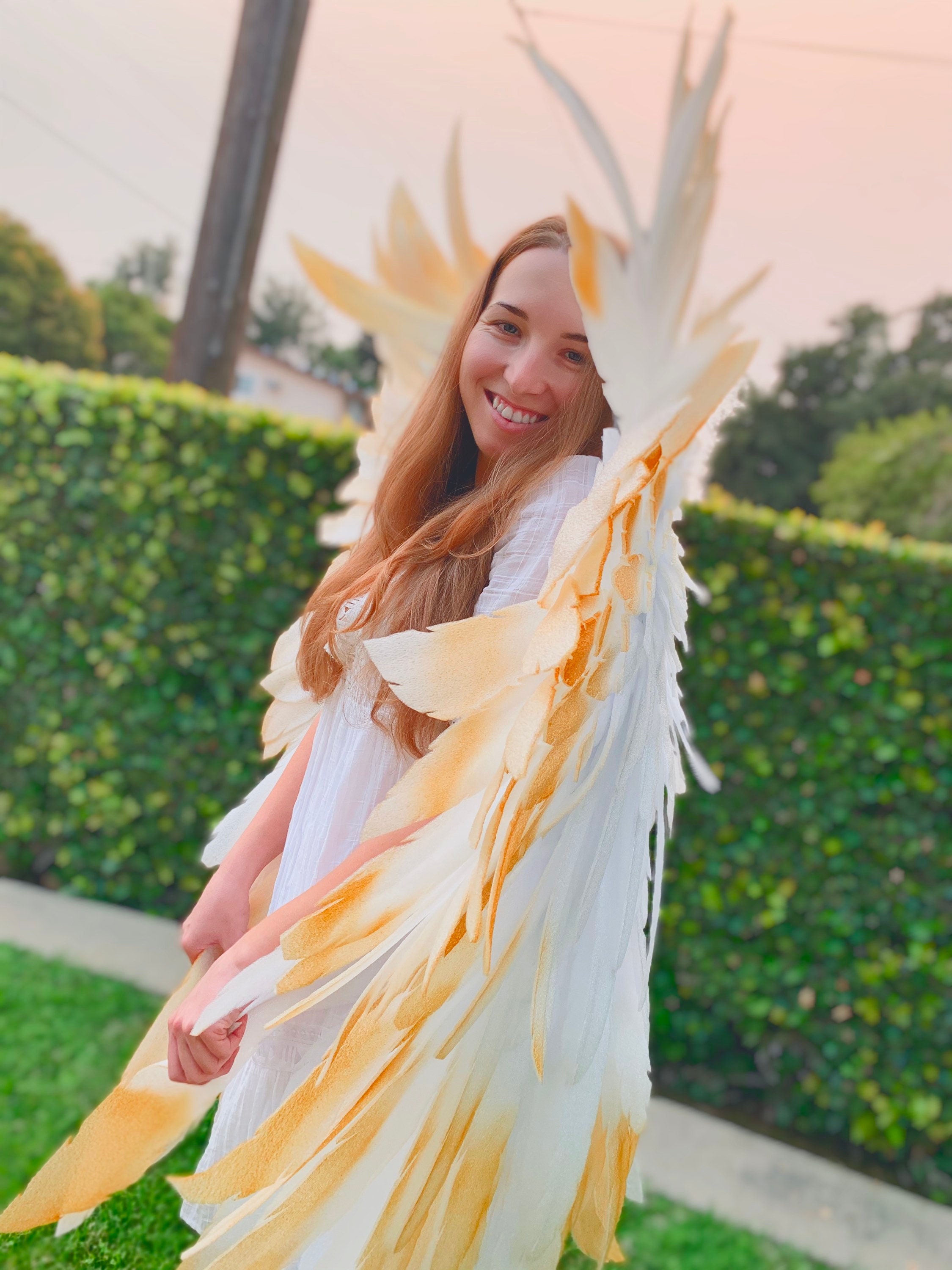 Golden Amazing Wings for Adults - Etsy