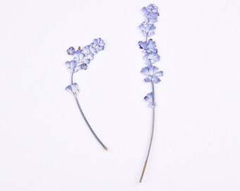 Pressed Sage Flowers - Etsy