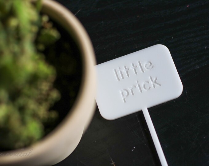 Plant Pun Markers, Plant Markers, Plant Lovers Gift, Funny Plant Puns ...