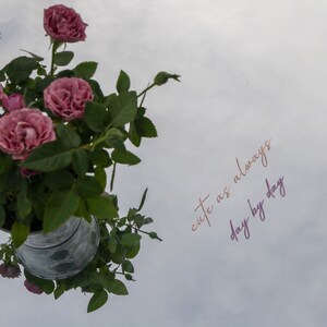 Cute as Always Decal Positive Affirmation Positive - Etsy