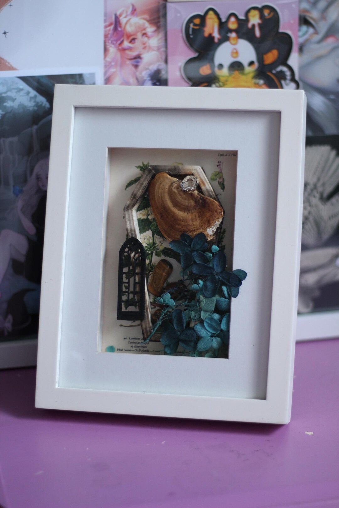 The Collection Oddity Frame - Etsy