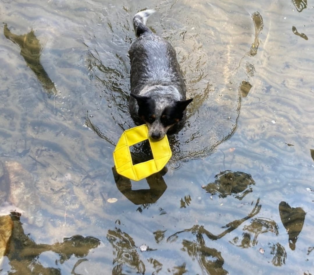 Floating Firehose Frisbee - Etsy