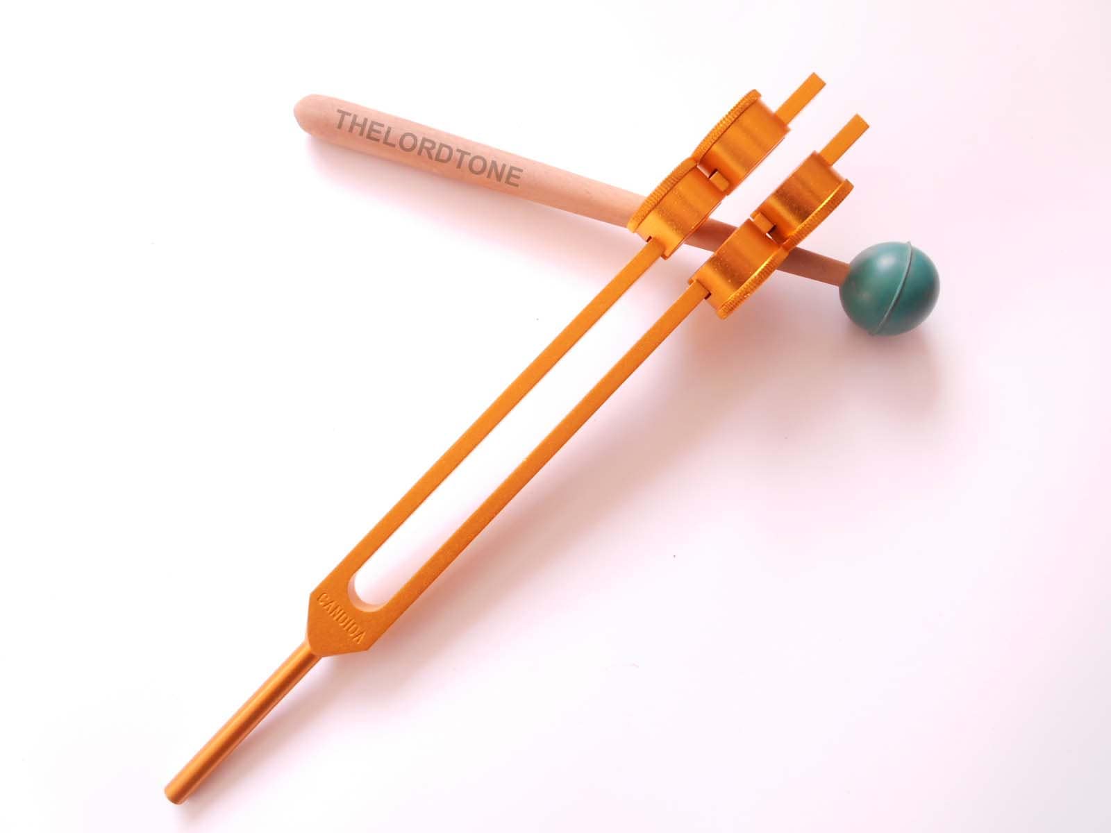 Candida 55hz Double Weighted Gold Colour Tuning Fork With Extra ...