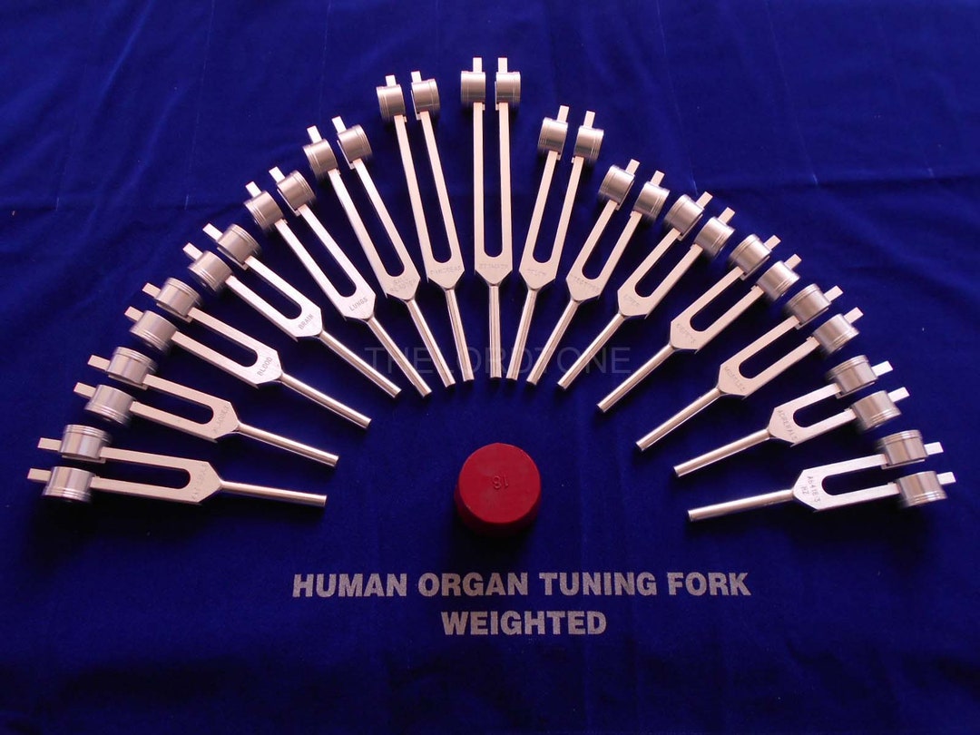 Weighted Human Organ Tuning Fork With Velvet Pouch + Round Activator ...