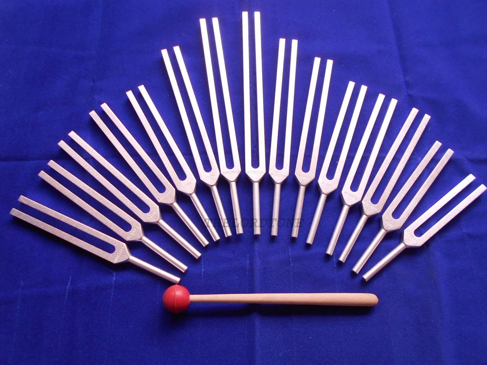 15 Pc Human Organ Tuning Fork With Velvet Pouch Mallet Use for ...
