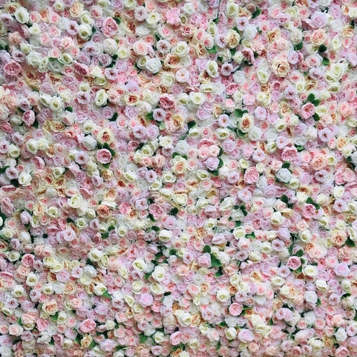 Blush Flower Wall - Etsy UK