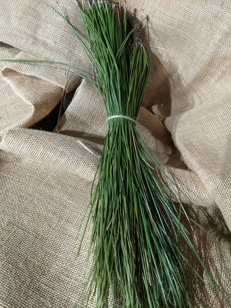 1 Pound Dark Green Georgia Long Leaf 12 + Inches Basket Weaving Grouds ...