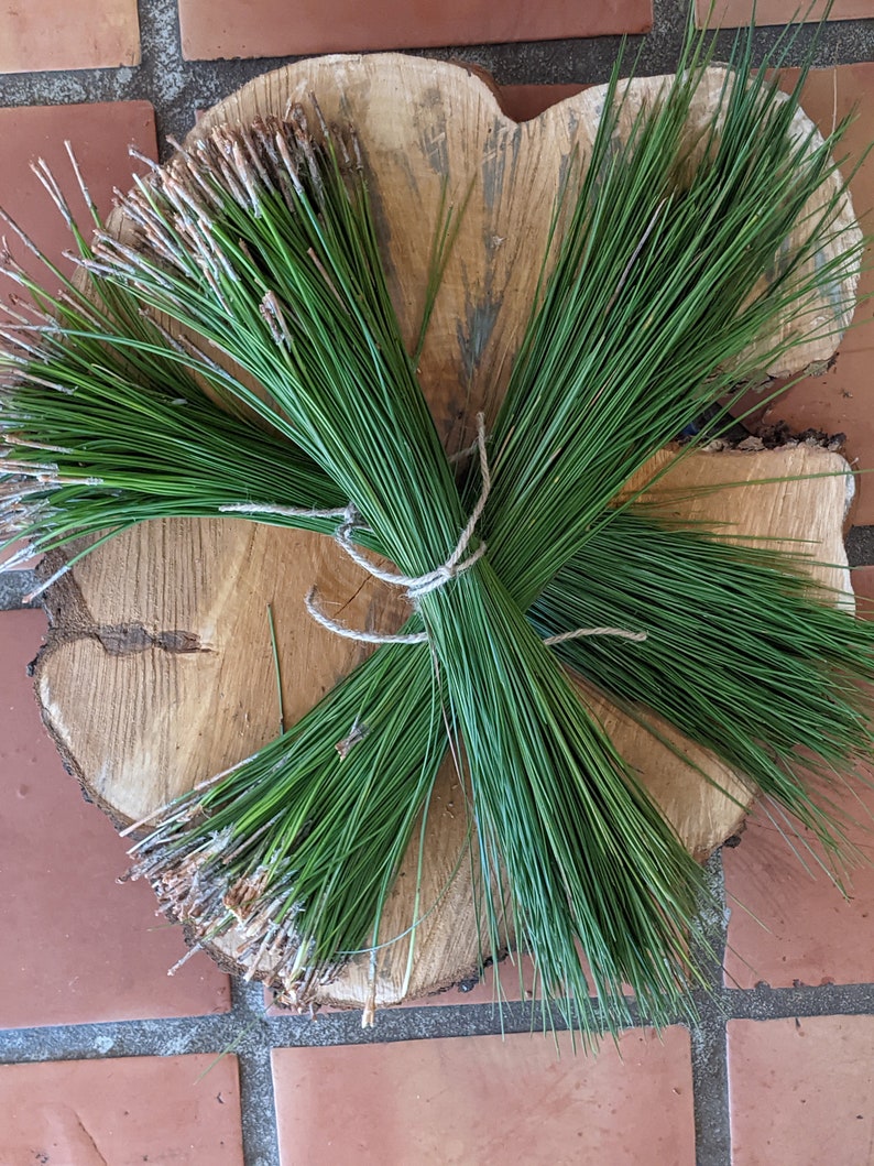 1 Pound Dark Green Georgia Long Leaf 12 Inches - Etsy